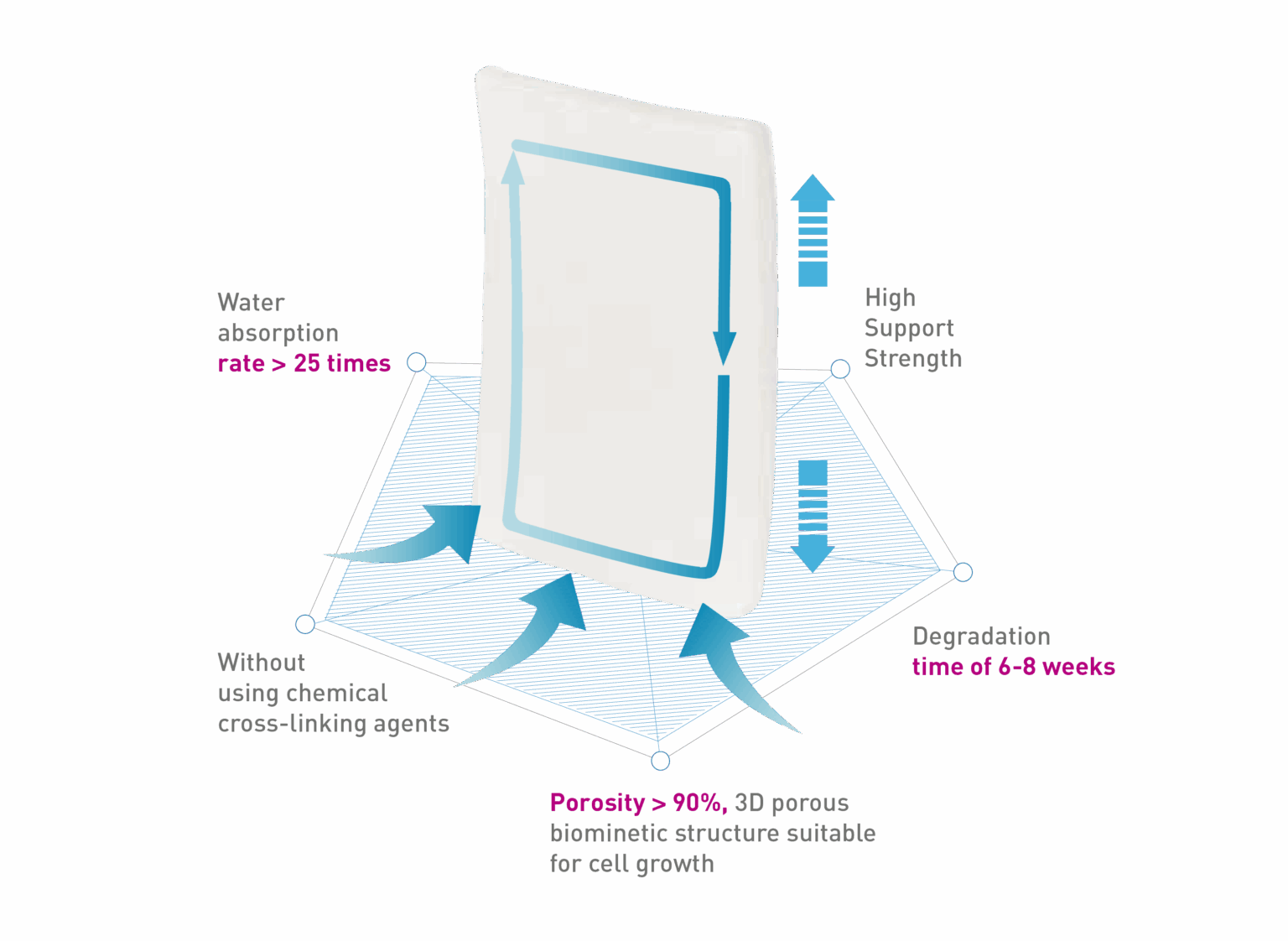 GidePlug® – Collagen Wound Dressing | Purgo Biologics USA - Purgo ...